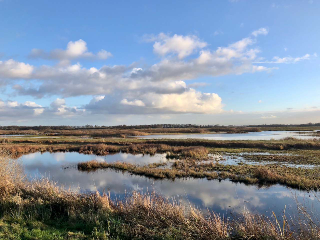 OV-fietsrondje Hollandsche Rading - Wim ten Brinke